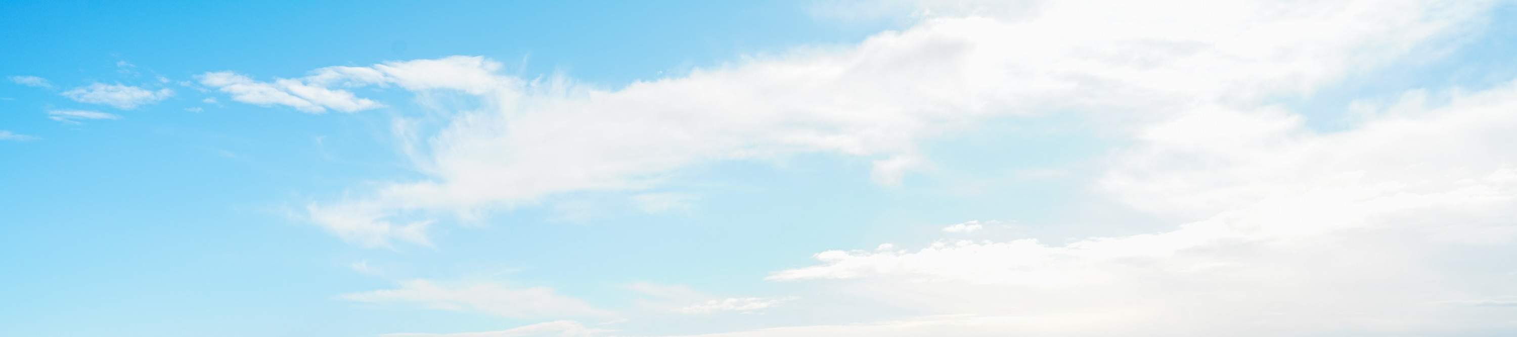 ラスベガス発ザ リム ヘリコプター ツアーとスカイウォークの VIP | Klook