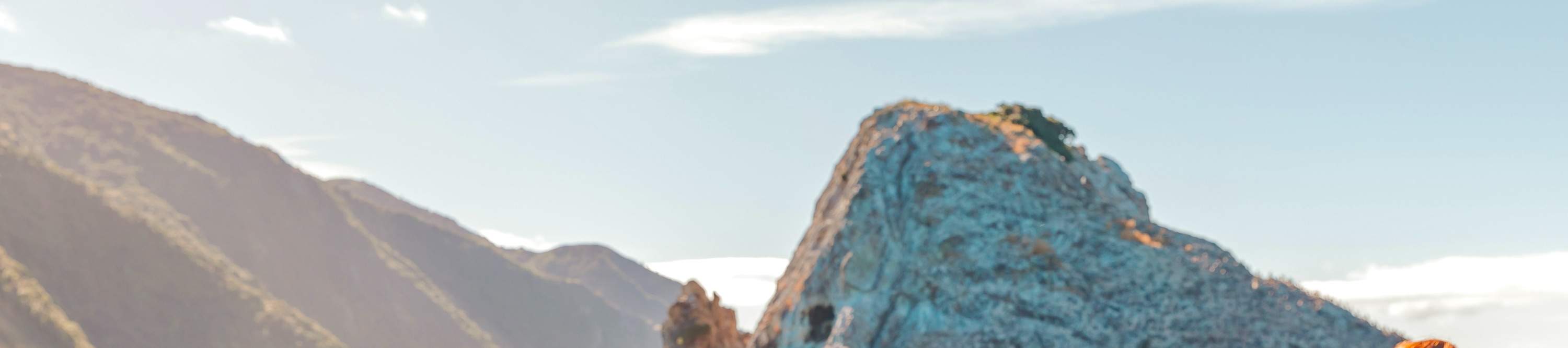 凯库拉赏鲸游船之旅 - Klook客路