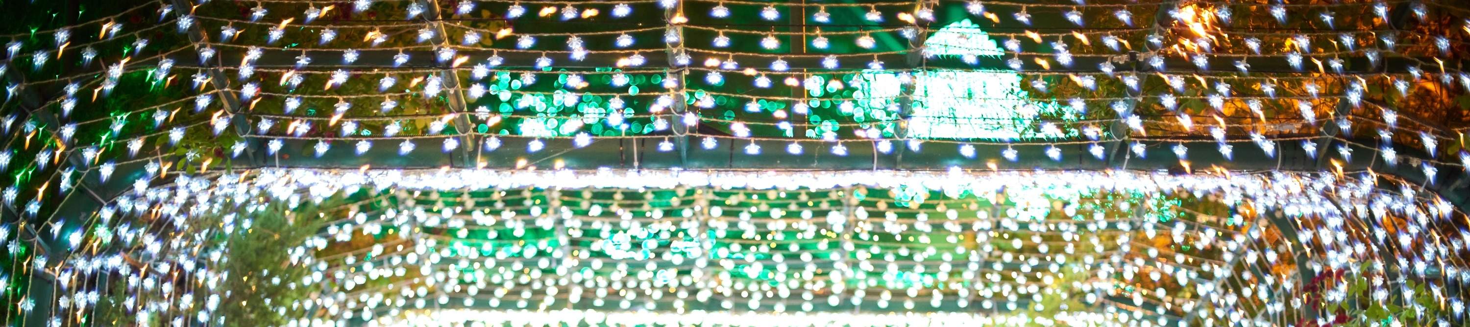 Seoul Land Theme Park Ticket - Klook