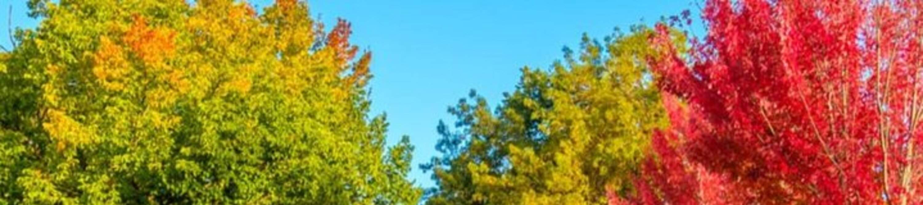 Adelaide City Highlights via Hahndorf Half-Day Tour - Klook Australia