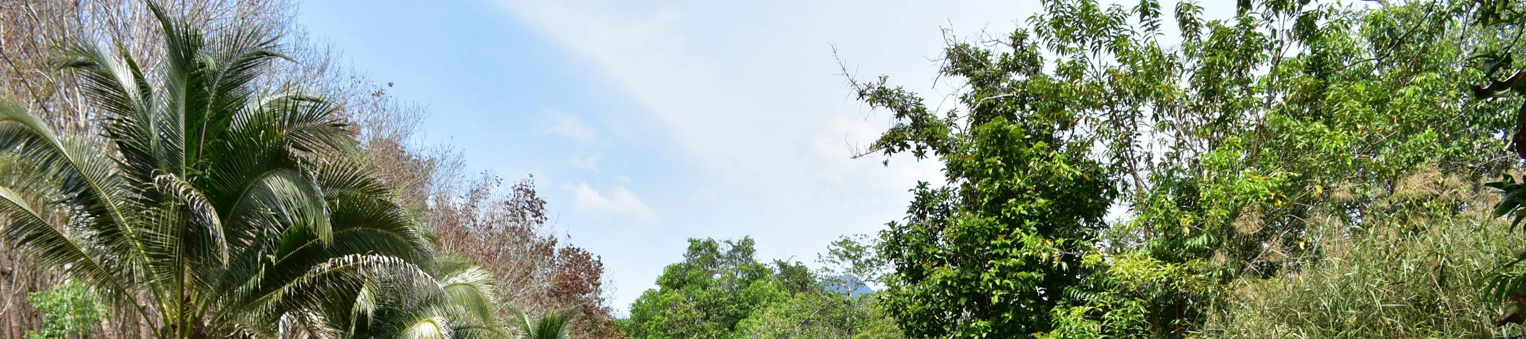 Join In Half-day Trip To Blue Lagoon At Klong Sra Kaew With Kayaking ...