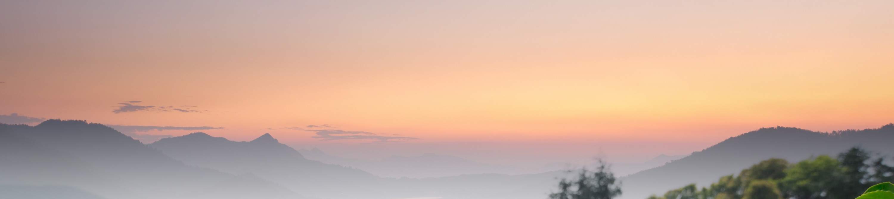 One-Day Hangzhou Dragon Well Tea Culture & West Lake Private Tour ...