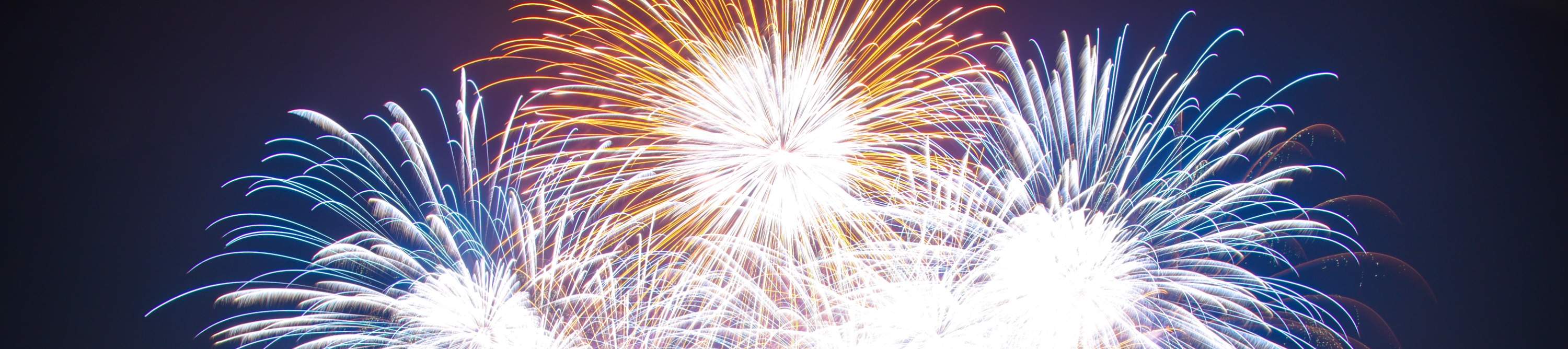 Mt. Fuji, Kamakura, Atami, and Fireworks 2-Day Cruise (Departs from ...
