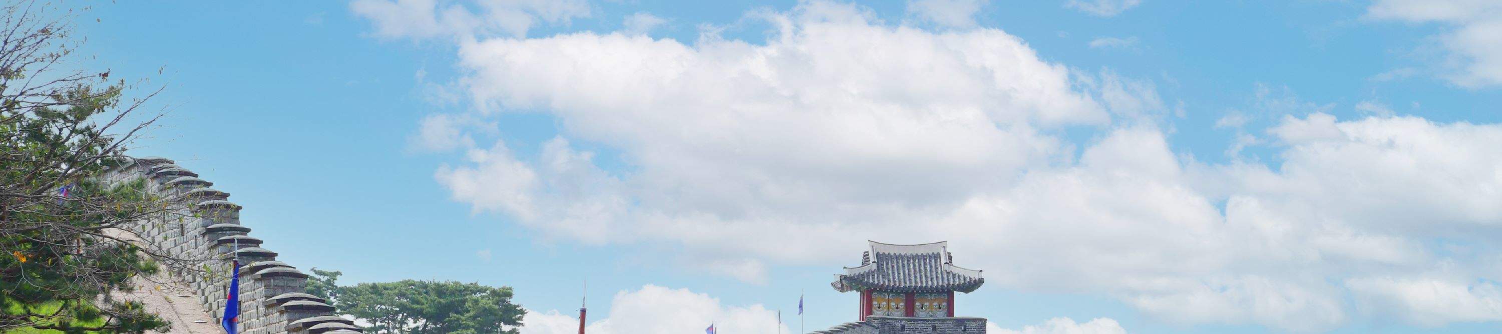 Cherry Blossom Suwon Hwaseong Fortress Tour from Seoul - Klook