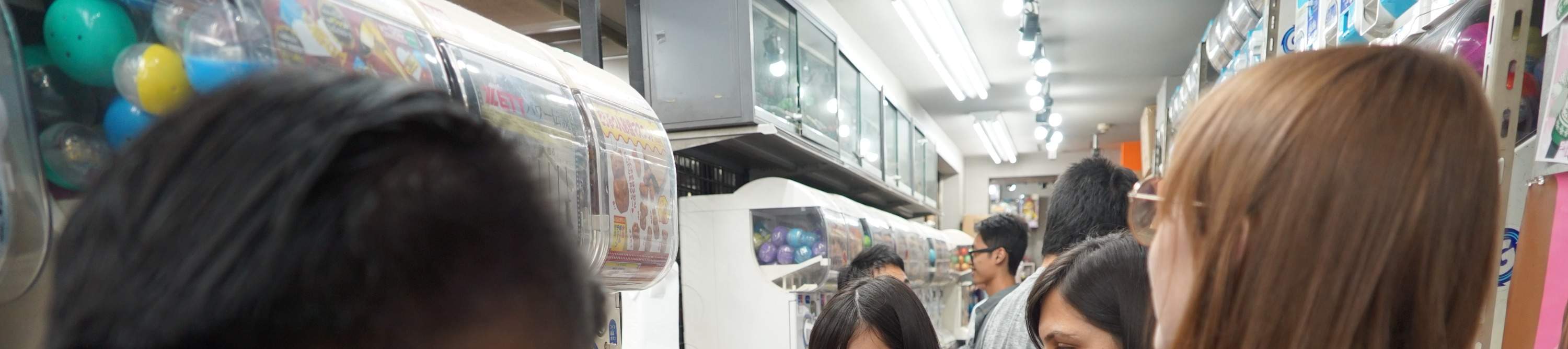 Tokyo City, Akihabara Anime & Gaming Adventure Half Day Walking Tour ...