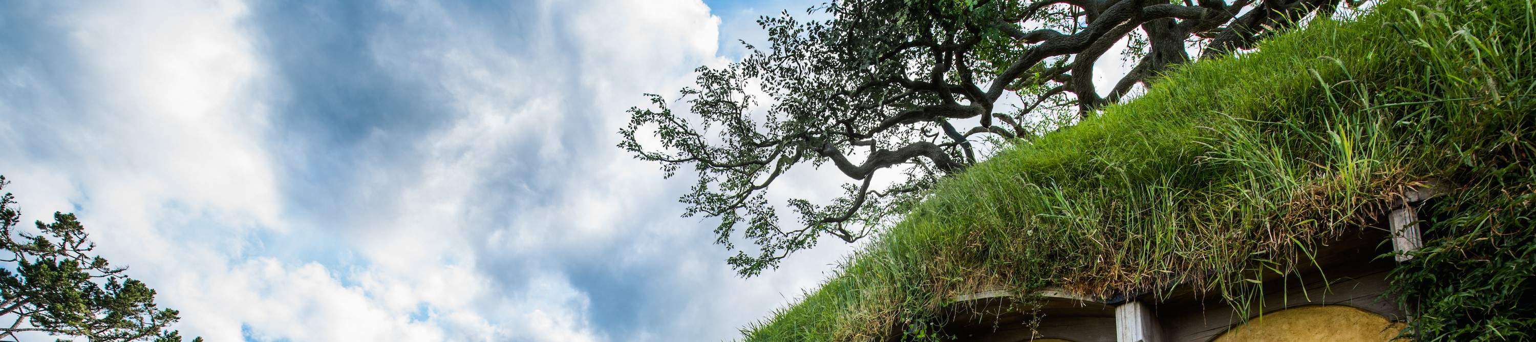 Hobbiton Village & Waitomo Glowworm Cave Private Day Tour - Klook