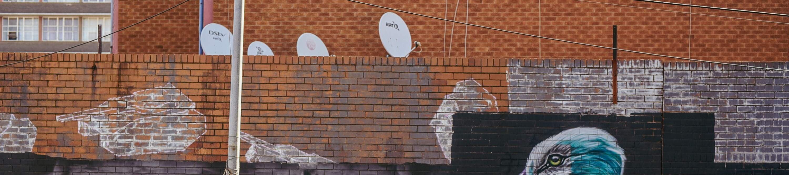 Maboneng Street Art Tour in Johannesburg - Klook