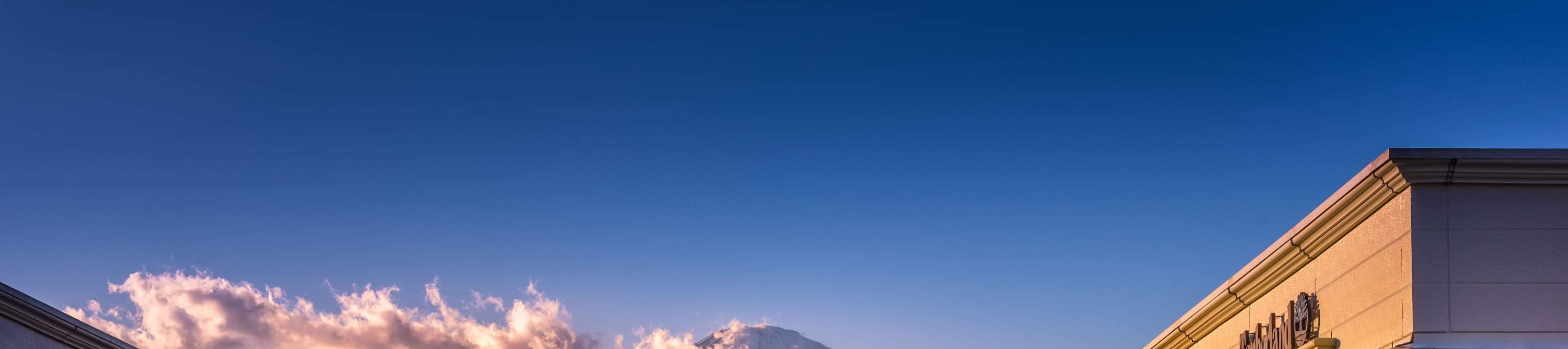 Hakone & Fuji Cruise & Cable Car & Owakudani Day Tour from Tokyo ...