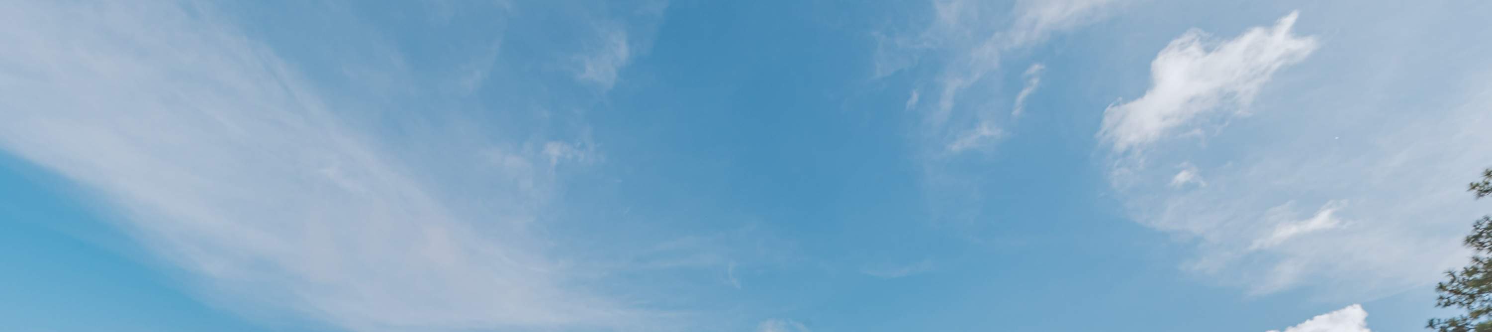 Long Dinh Tea Museum Ticket in Da Lat - Klook