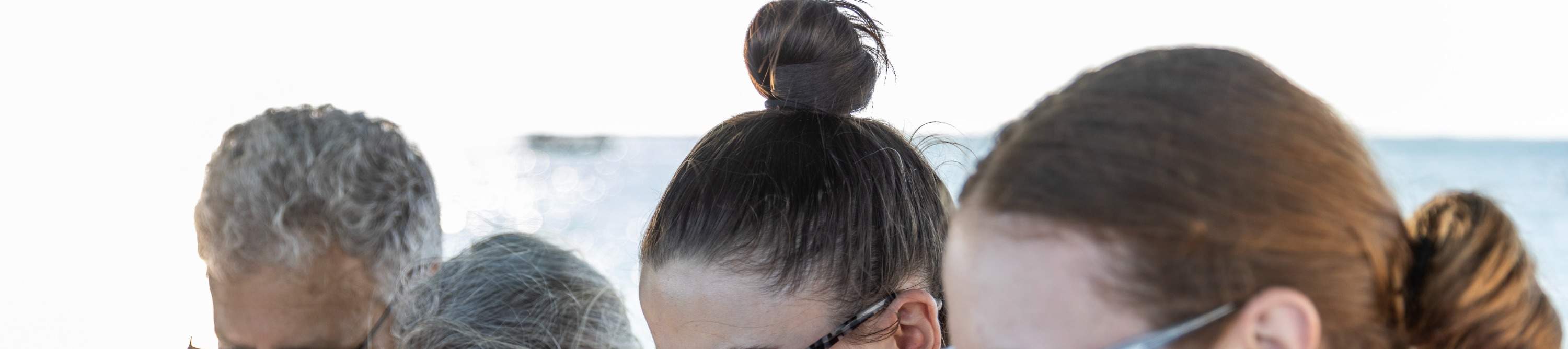 Paspaley Pearl Farm Tour - Klook