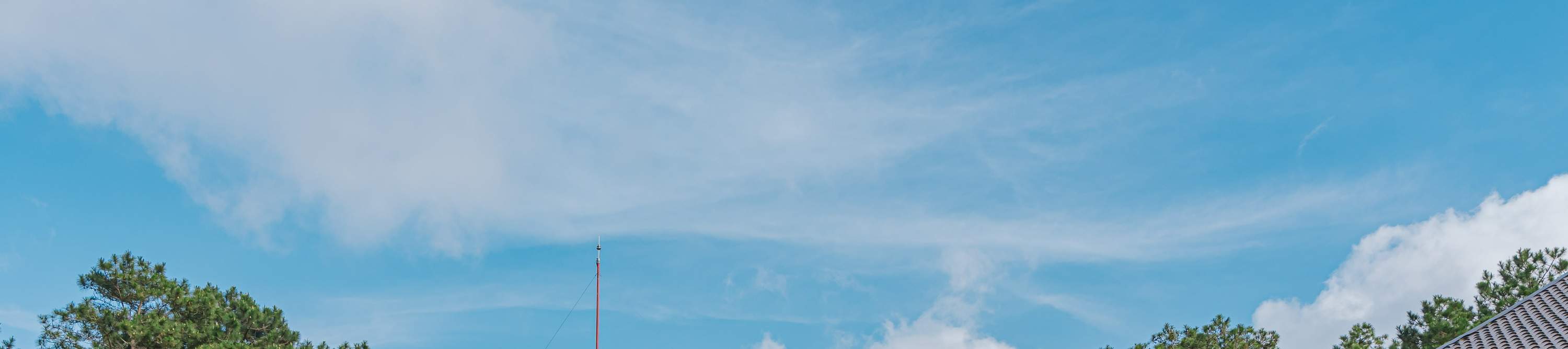 Long Dinh Tea Museum Ticket in Da Lat - Klook