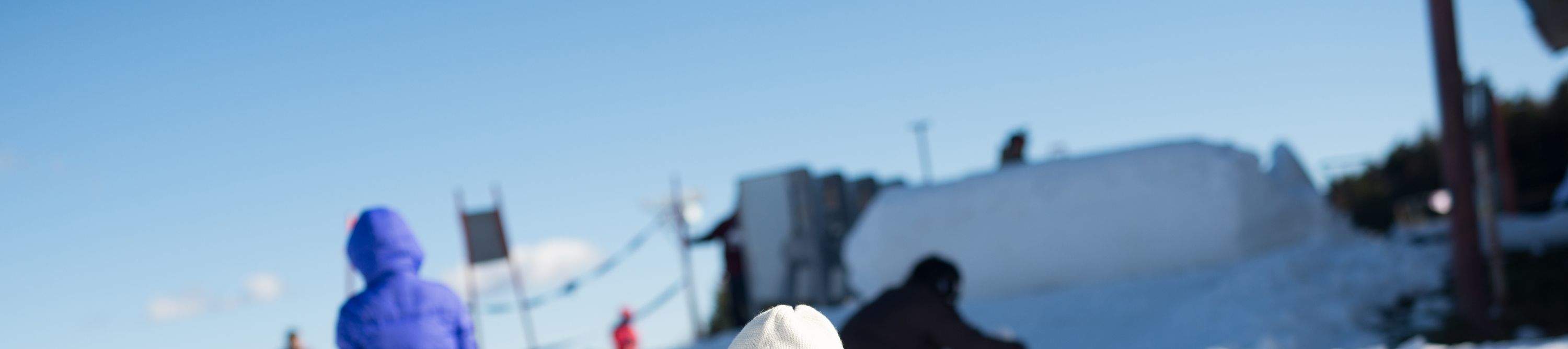 With Mt. Fuji View: Snow Fun at Fujiten & Oishi Park Sightseeing Tou ...