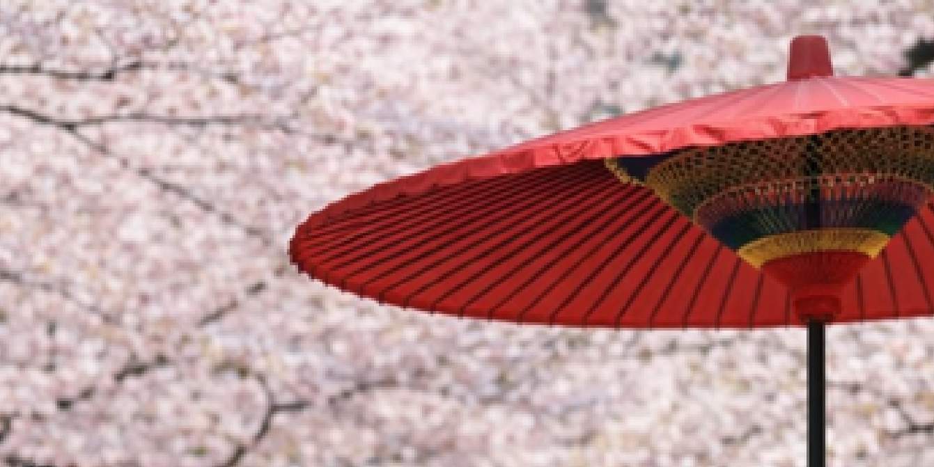 Ogimachi Park Sakura Festival - Klook United States