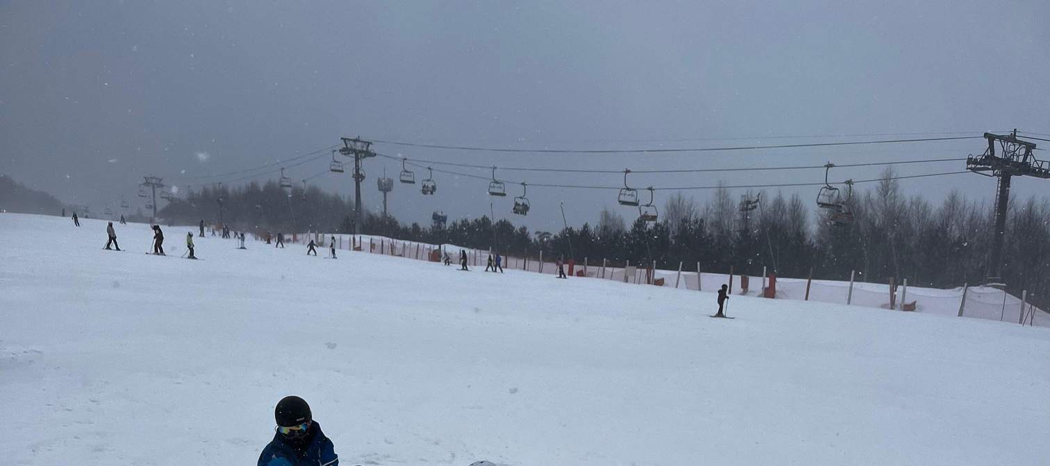 Private Ski Lessons at Alpensia resort with Professional Instructor ...