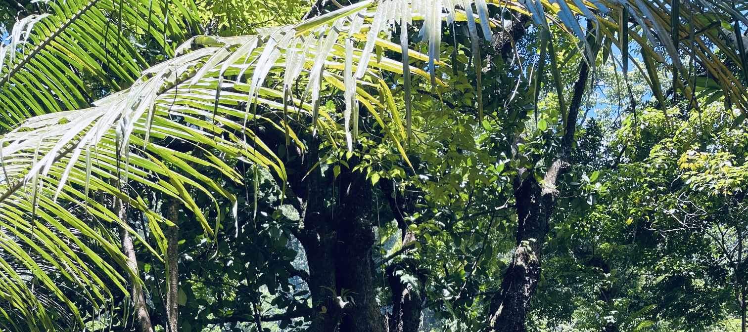 Malumpati Cold Spring Day Tour - Klook Philippines