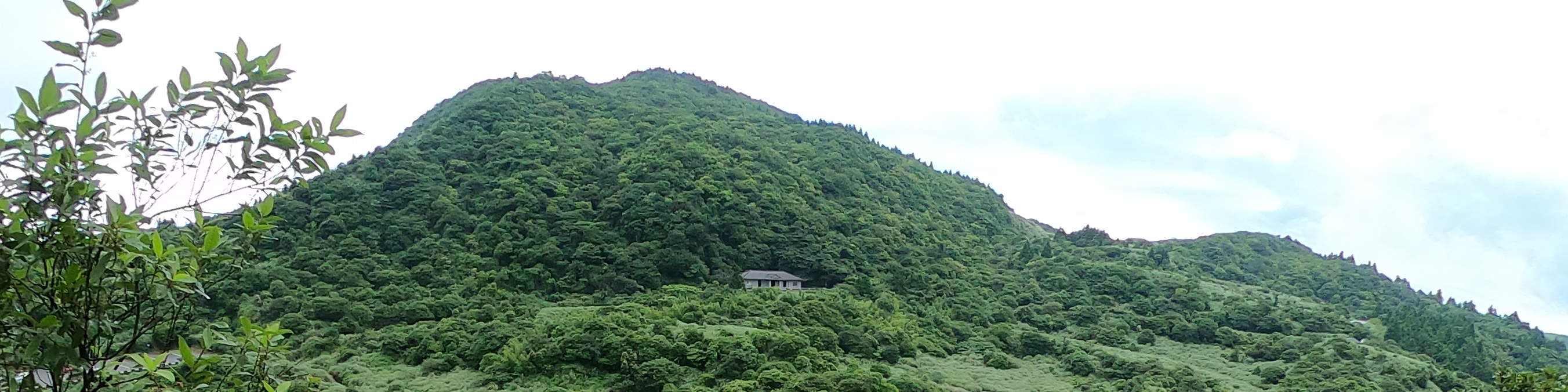 [Muslim-friendly] Yangmingshan / Yehliu Geopark Private Day Tour ...