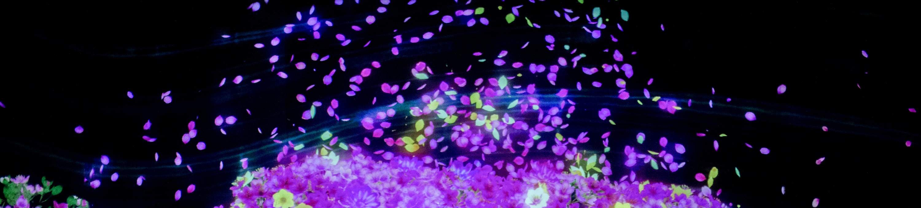 teamLab Future Park and Animals of Flowers, Symbiotic Lives Sapporo ...