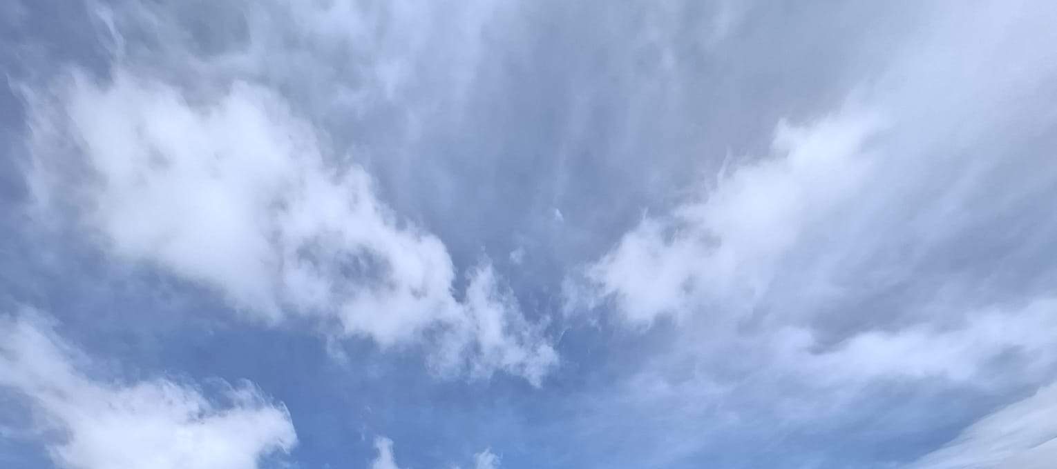 The Enchanted Trail of Coral Hill - Klook Philippines