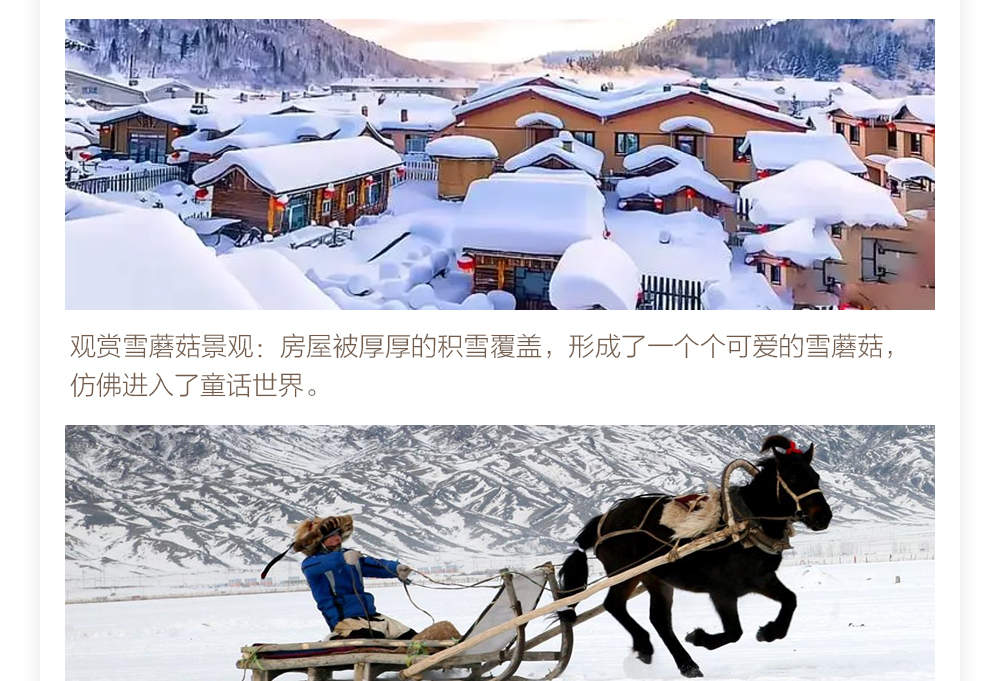 [Harbin Entry Best Choice] Harbin Snow Village 3-Day Tour (Harbin Ice ...