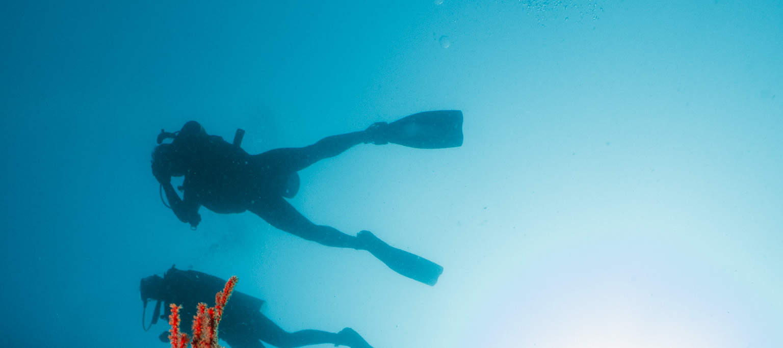 Explore Underwater Adventures: PADI AOW Diver in Cebu with PADI 5 Star ...