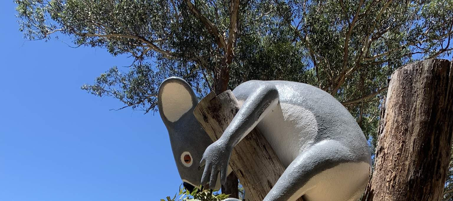Lawatan Sehari ke Port Stephens dari Sydney dengan Pemandu Bertutur ...