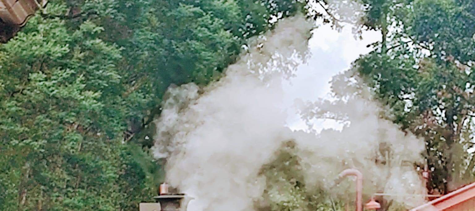 Puffing Billy and Moonlit Sanctuary Day Tour - Klook Singapore