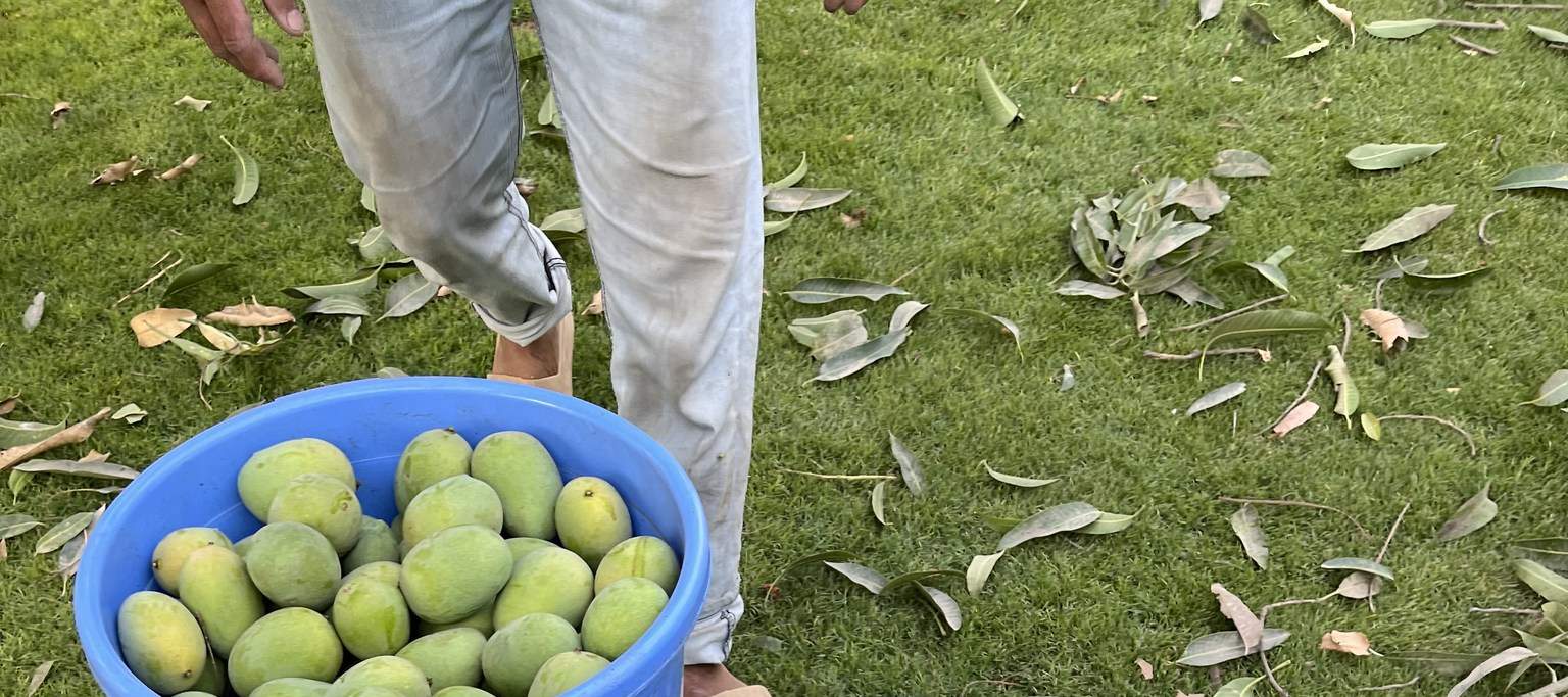 Rustic Lunch with Scenic Views and an Authentic Experience - Klook India