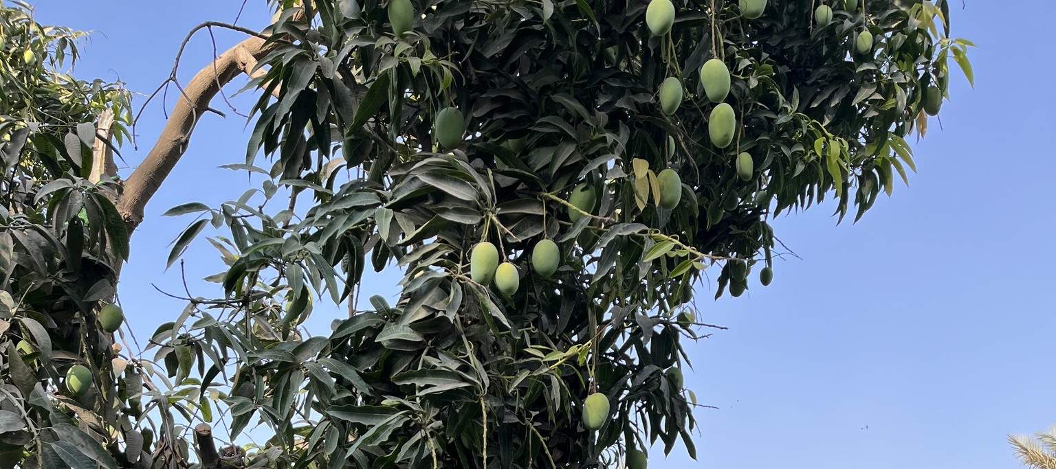 Rustic Lunch with Scenic Views and an Authentic Experience - Klook Hong ...