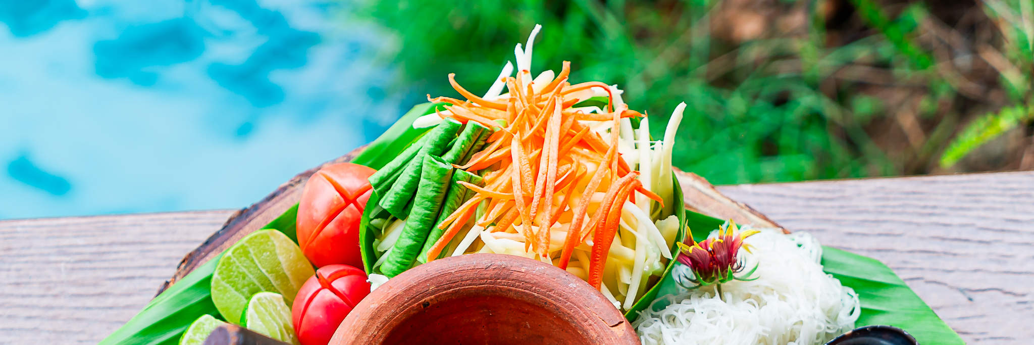 Bubble in the Forest Cafe - Klook