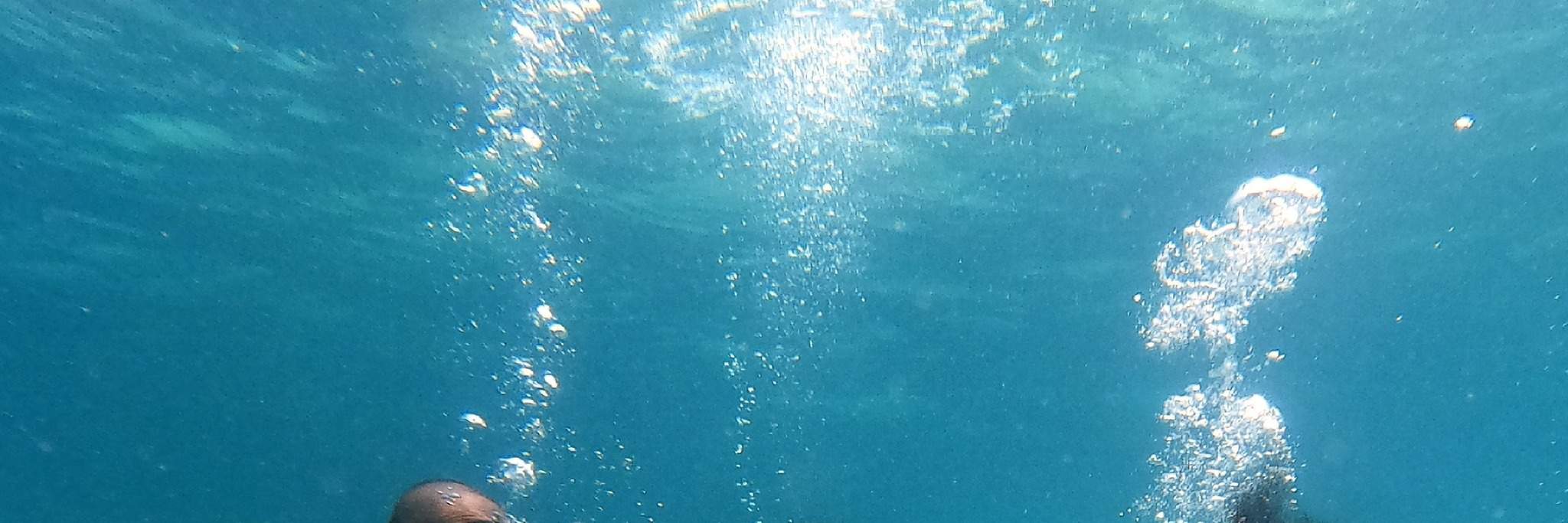 Experience the Underwater World: PADI Discover Scuba Diving in Palawan ...