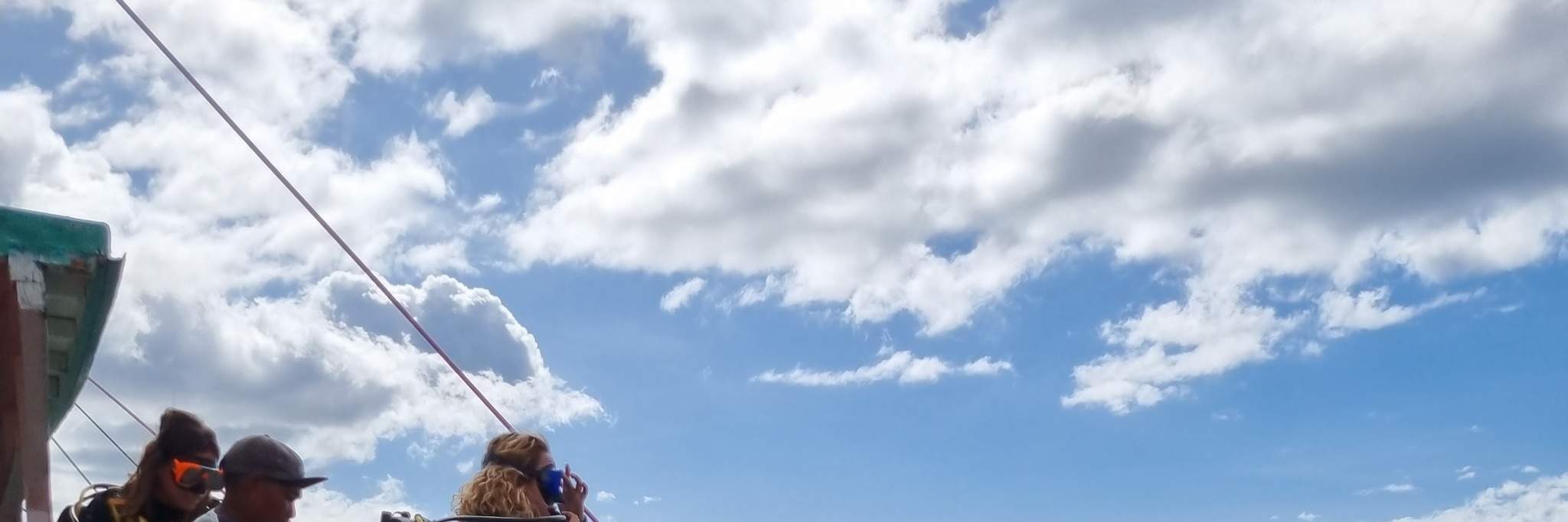 Experience the Underwater World: PADI Discover Scuba Diving in Palawan ...