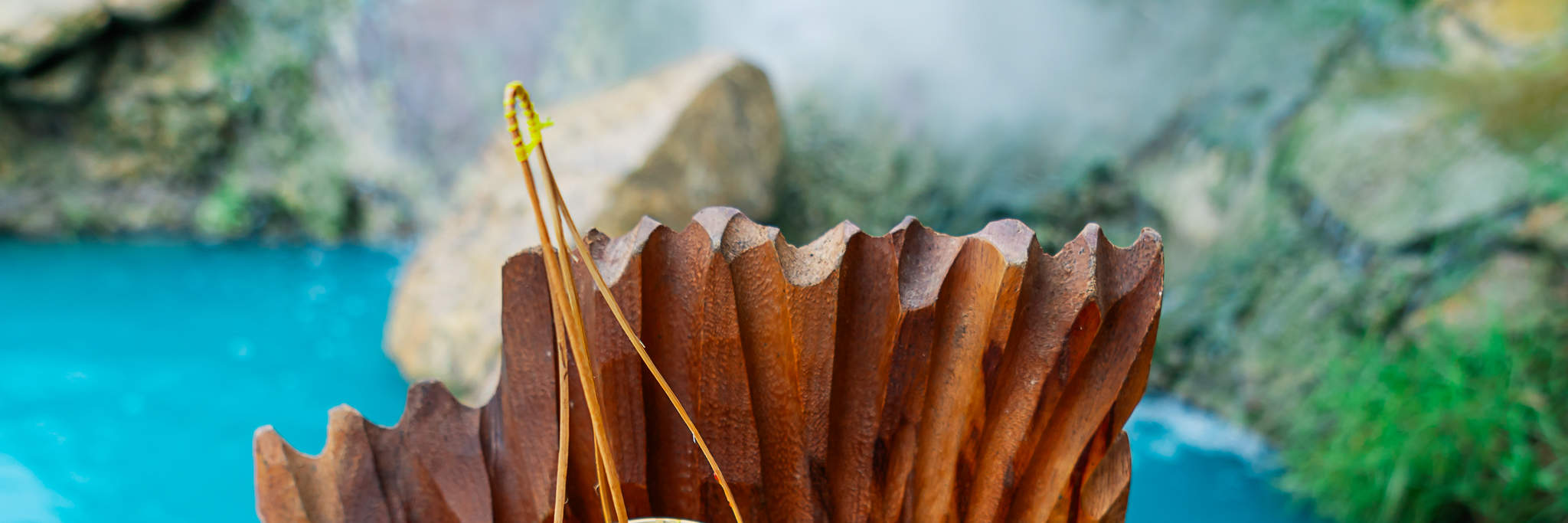 Bubble in the Forest Cafe - Klook Singapore