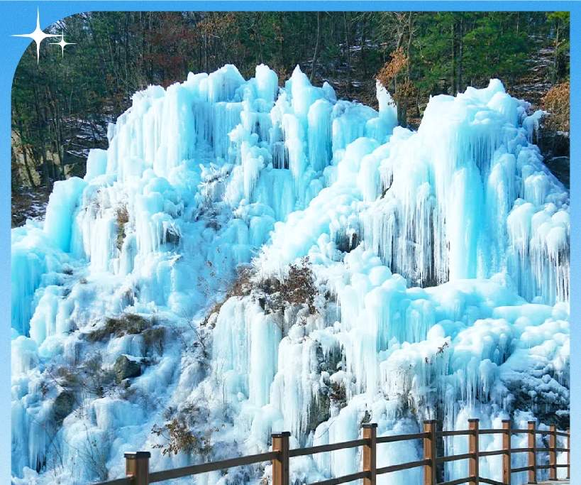 Eobi Ice Valley & Alpaca & Strawberry & Nami & Lighting Festival ...