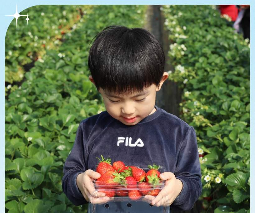 Eobi Ice Valley & Alpaca & Strawberry & Nami & Lighting Festival ...