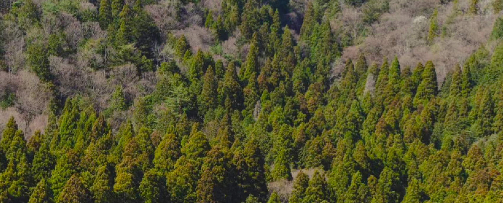 Jednodniowa wycieczka do Kioto, Amanohashidate i Ine Funaya oraz wioski ...
