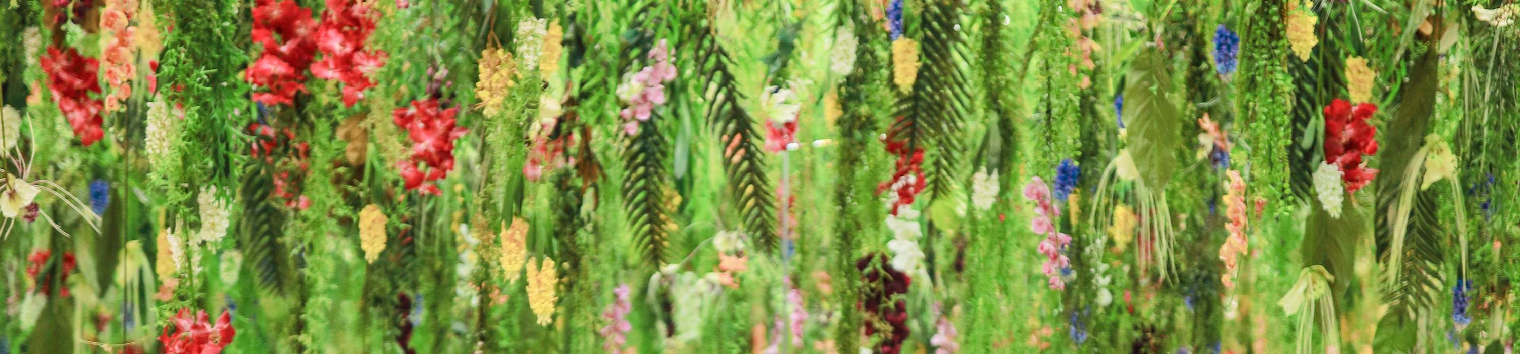 Gyeonggi Begonia Bird Park Ticket - Klook United States