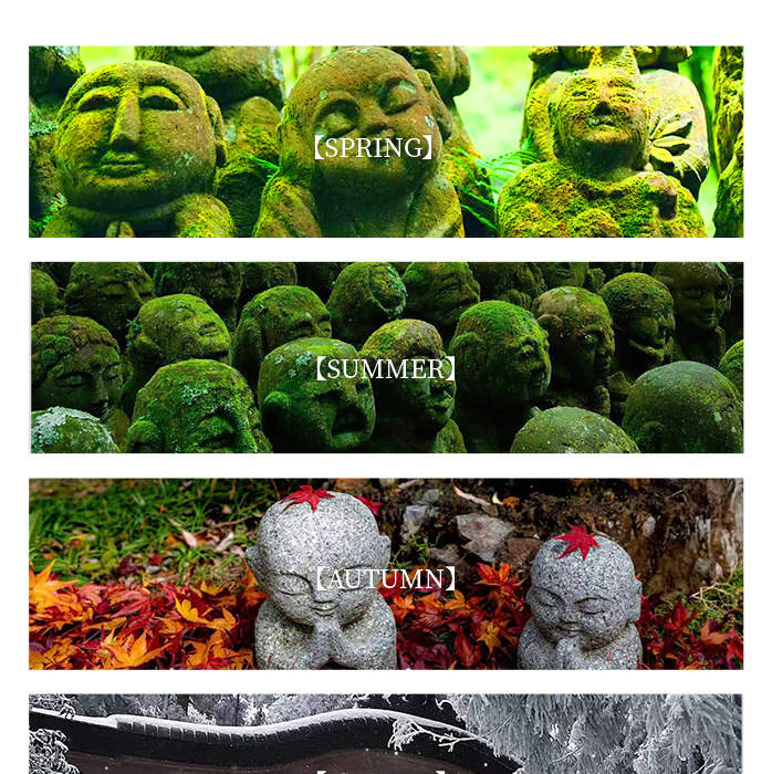 Fall Foliage Hike | Kyoto's Secret Autumn Leaves Hiking Day Trip ...
