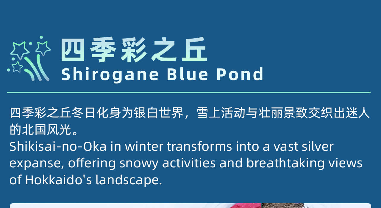 Hokkaido Asahiyama Zoo & Biei One Day Tour丨Chinese/English Bilingual ...