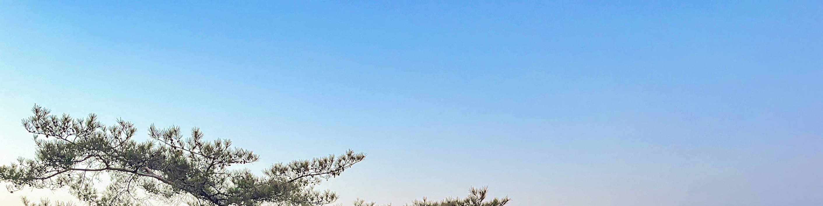 Good Morning/Night Hike Seoul + Korean foods & Drinks - Klook The Bahamas