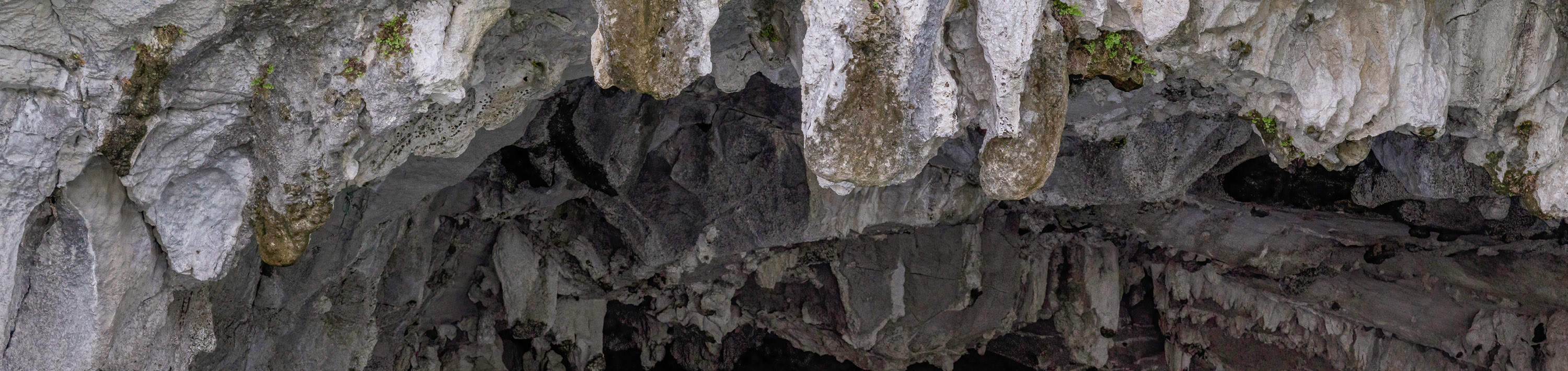 Leona DayCruise: Ha Long Bay, Sung Sot Cave, Ti Top Island - Klook Malaysia