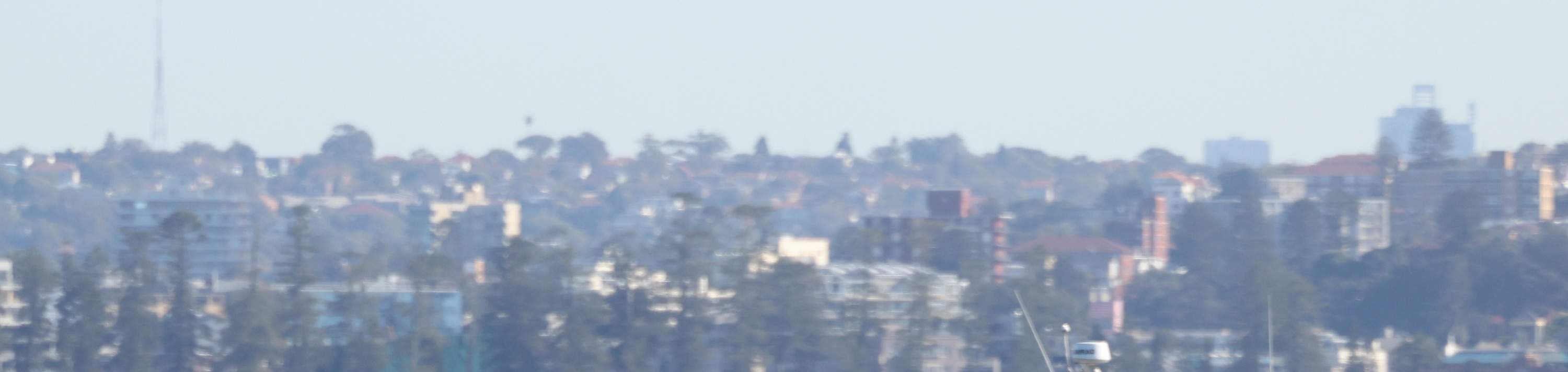 2-Hour Ocean Whale Watching Experience from Barangaroo - Klook