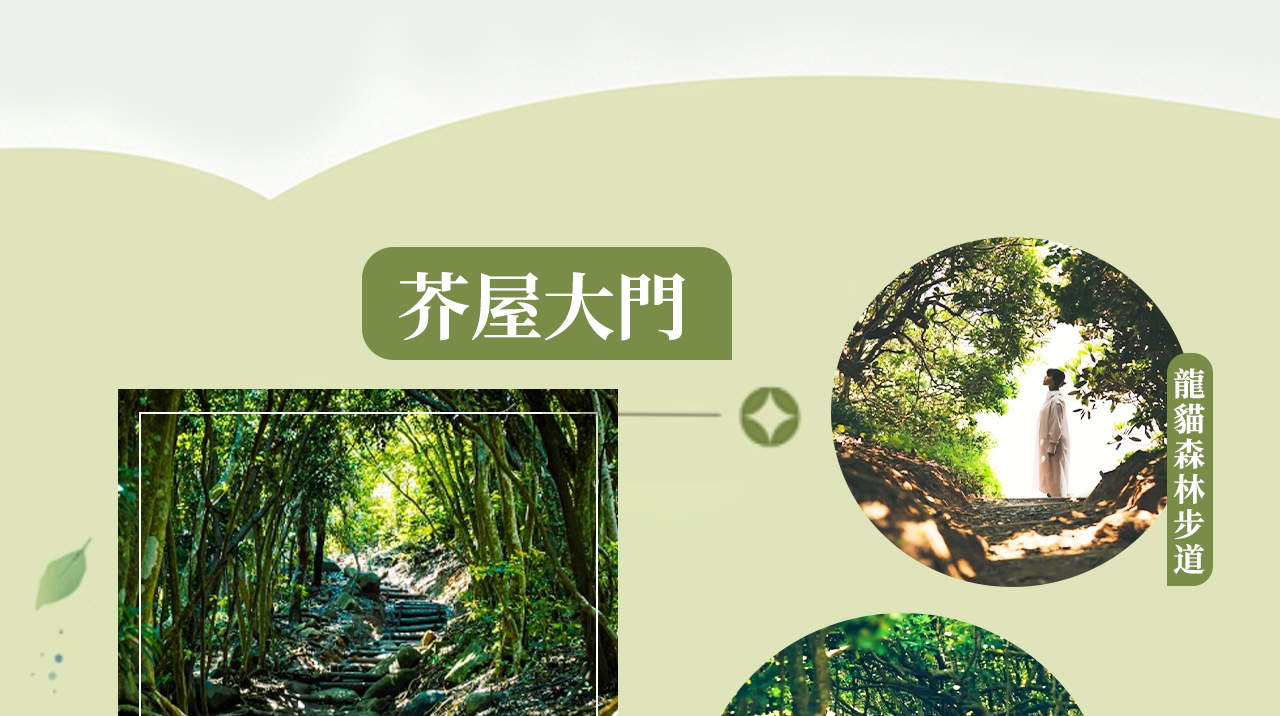 One-day trip to Itoshima, Kyushu, Japan | Shiraito Falls, Totoro Forest ...
