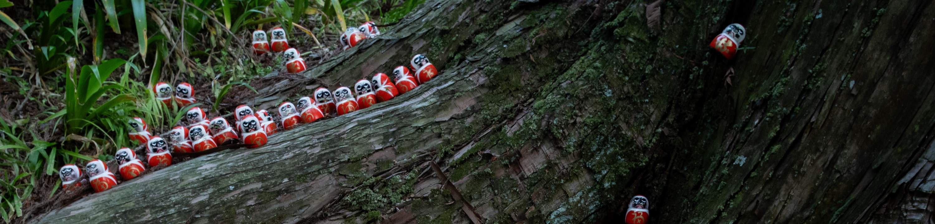 Minoh Katsuoji Temple Walking Tour with Local Guide (4 Hours) - Klook ...