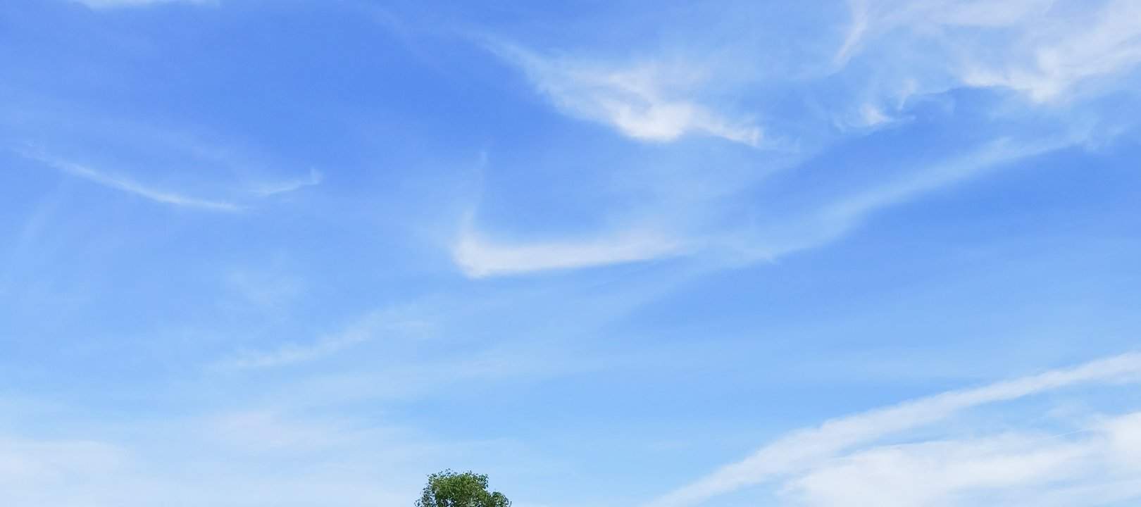 Bintan Mangrove/Safari Lagoi/Sand Dune and Blue Lake/Snorkeling Tour ...