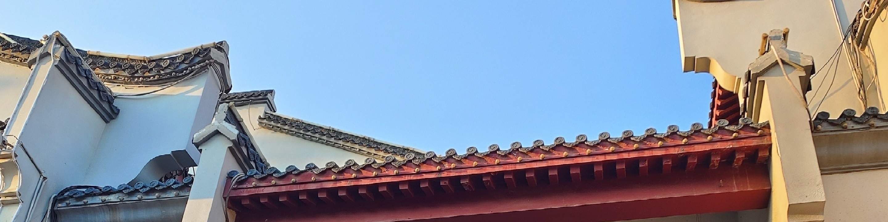 Wuhan layover private day tour: Visa-free introduction to Jiangcheng ...