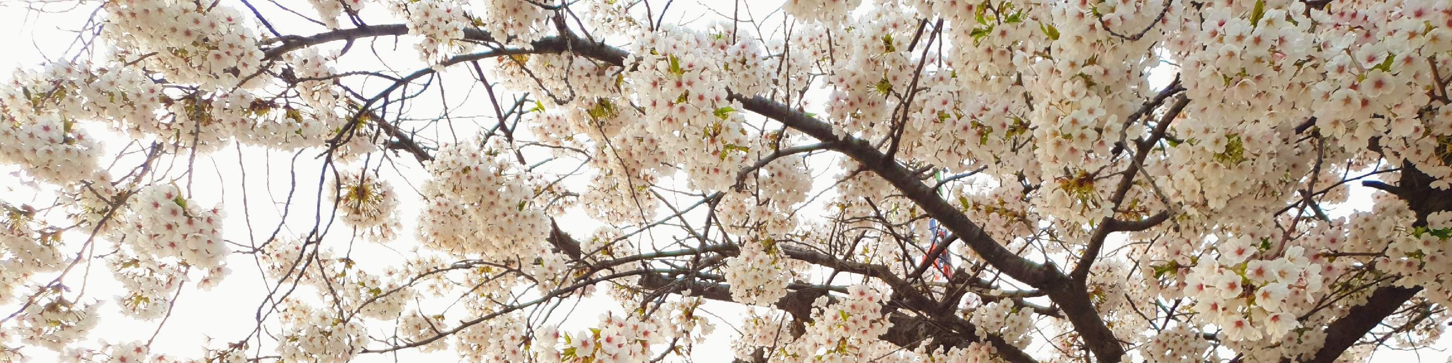 Incheon One Day Tour A - Klook