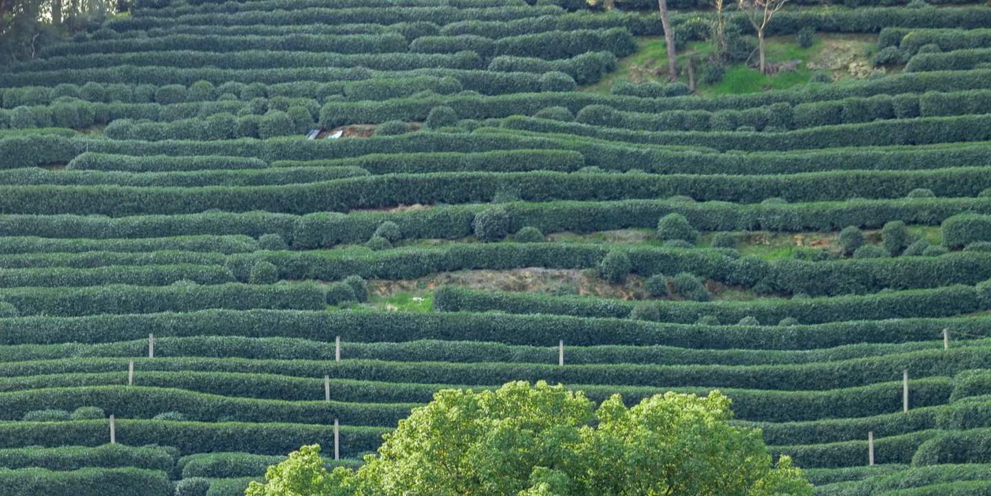 Hangzhou Shililangdang Classic One-Day Hiking Tour: Nine Creeks and ...