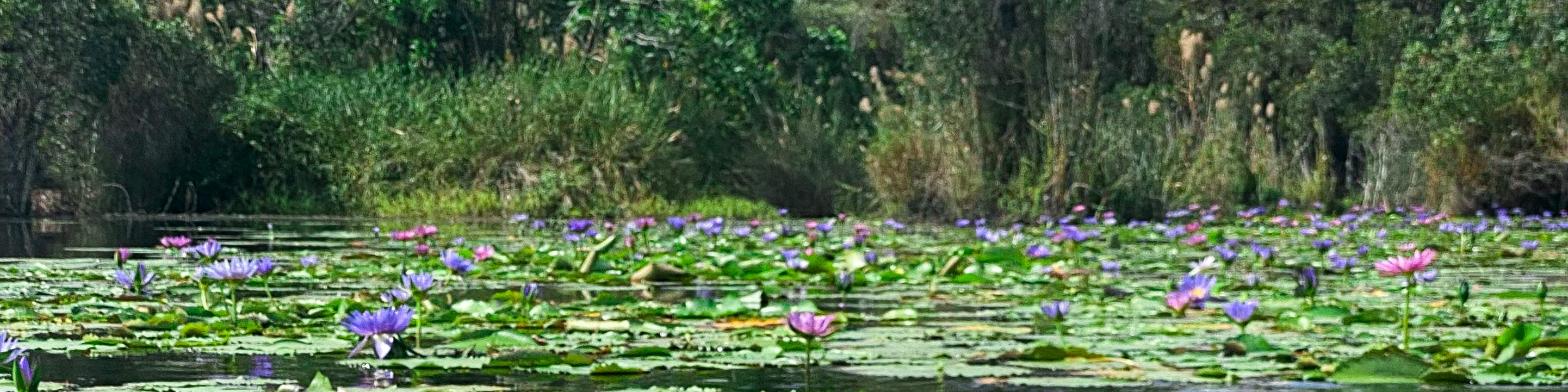 Rayong Aquarium and Suan Son Beach One Day Trip from Pattaya - Klook India