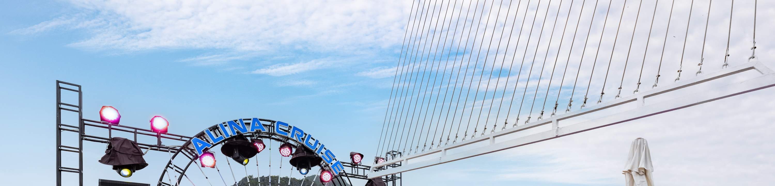 Ha Long Day Tour with Sung Sot and Ti Top by 5-Star Alina Cruise - Klook