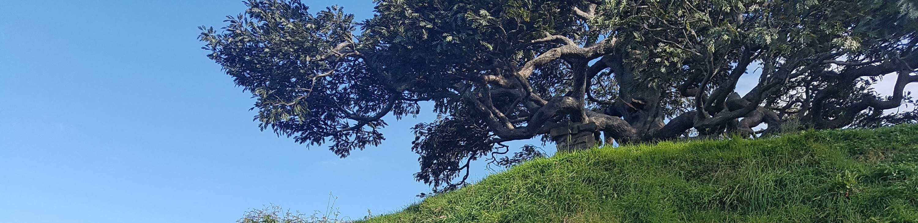 2 Day Hobbiton Rotorua and Waitomo Caves Tour from Auckland - Klook ...